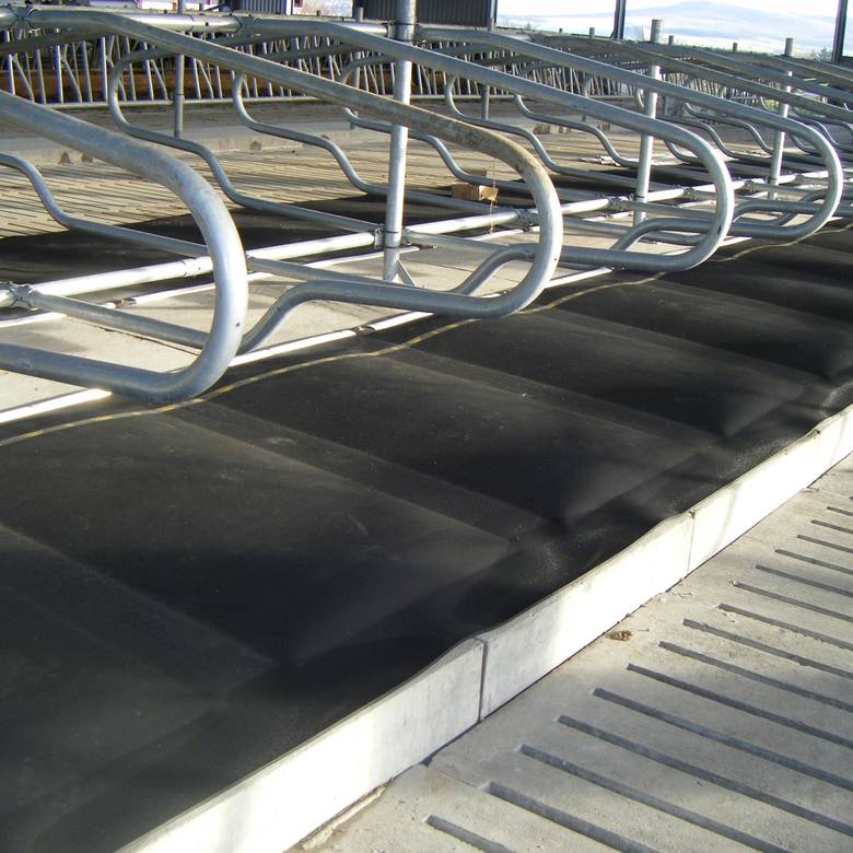 Ligbedsystemen voor de koe | Royal de Boer